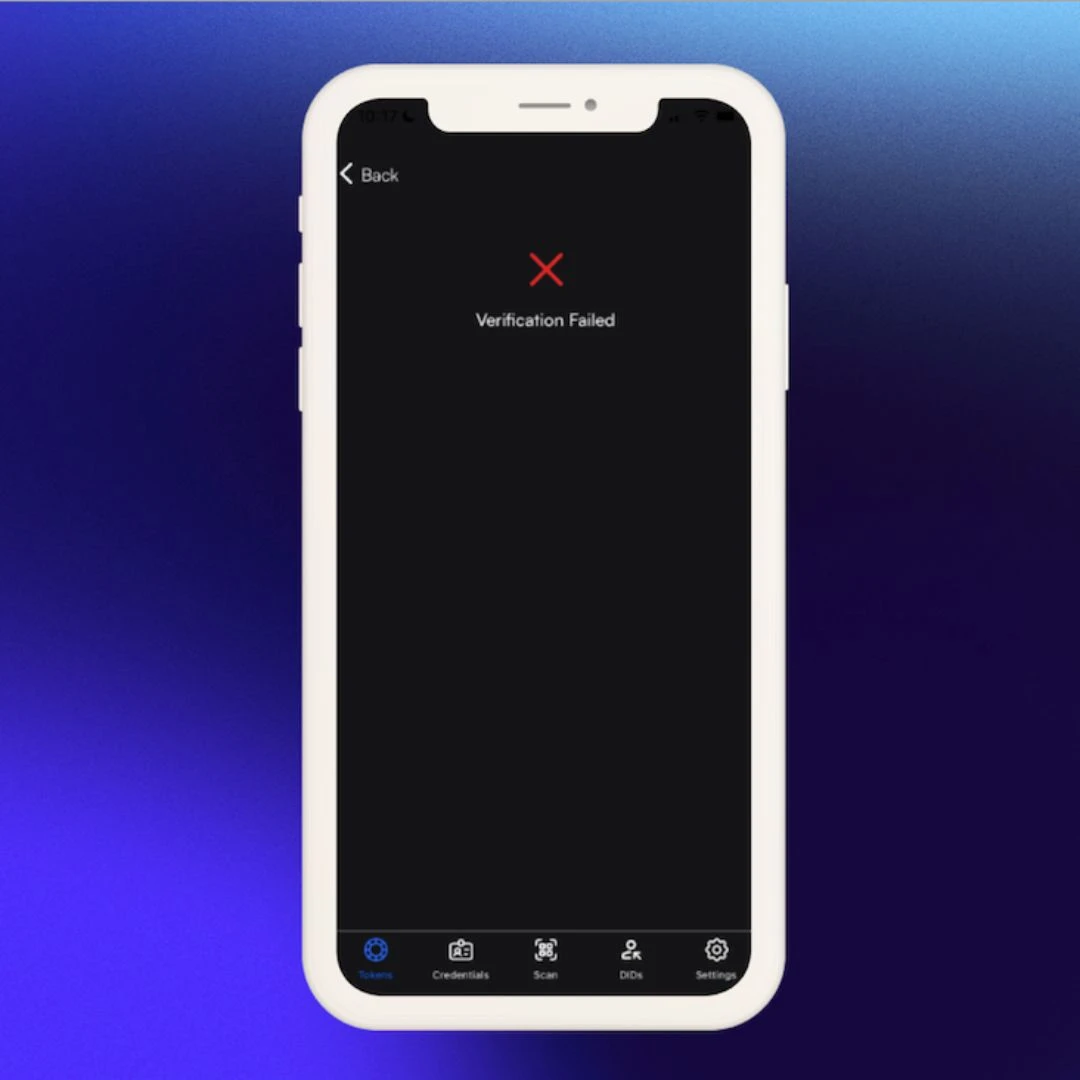 Blockchain Verification: Instant, Secure, and Efficient